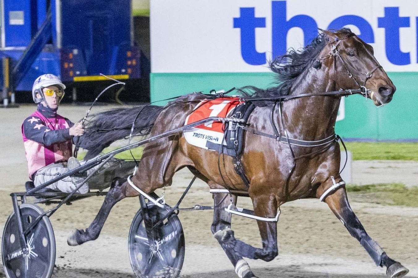 Breeders Crown: Nathan Jack out to stop Emma Stewart and Clayton Tonkin