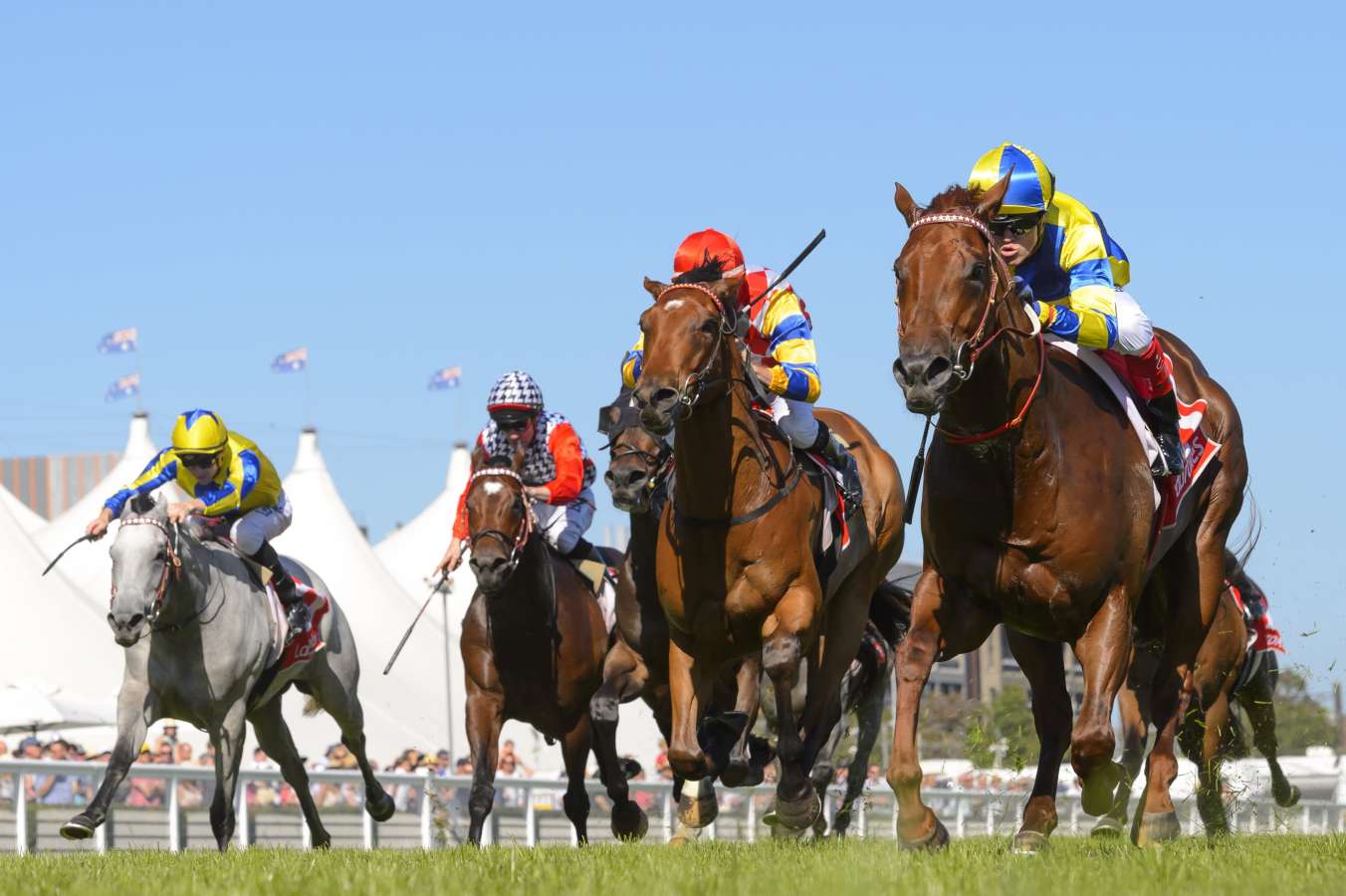 Boxing Day racing in review