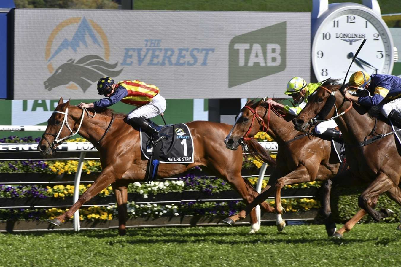 The Everest Tips 2022: National Racing Newsroom give their top four