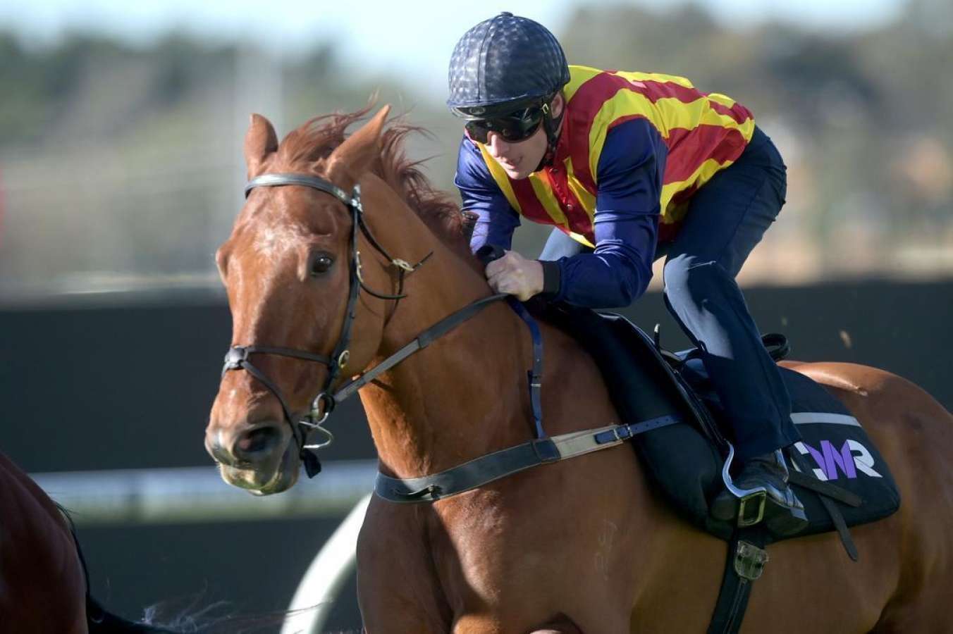 Nature Strip impressive in Rosehill trial win
