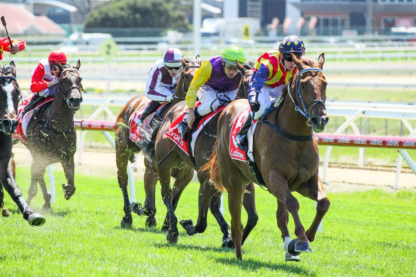 Sandown Hillside quaddie previews