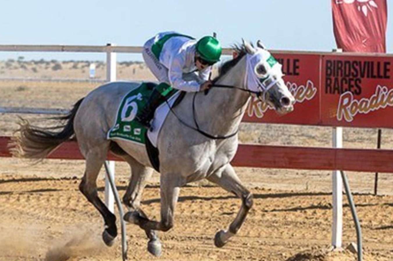 Phillip Stokes: Birdsville Cup success was 'bigger thrill than winning ...