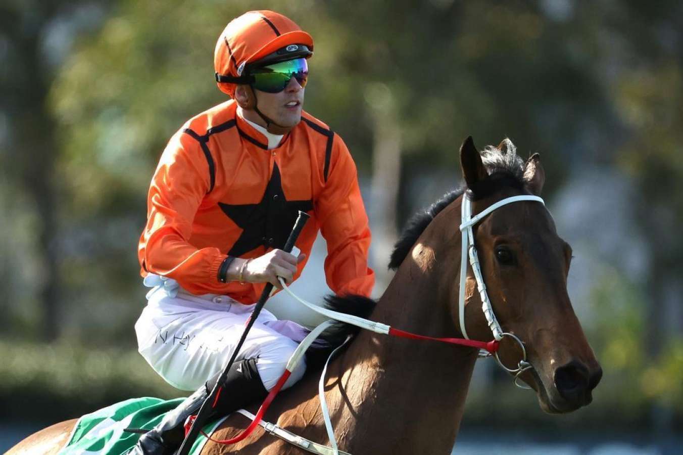 Bush sensation has Nick Heywood dreaming of Kosciuszko success