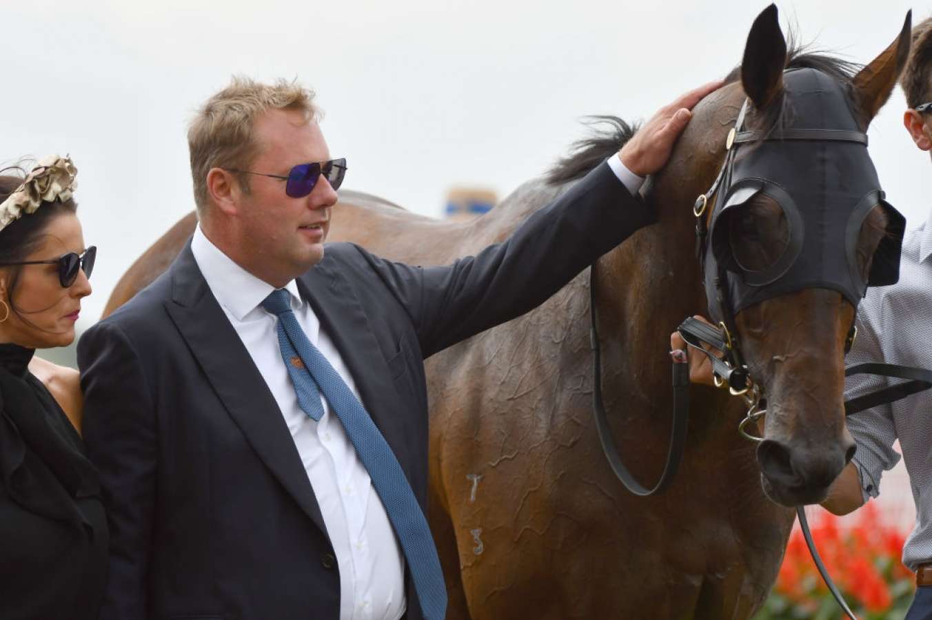 New trainers announced for Team Williams' horses