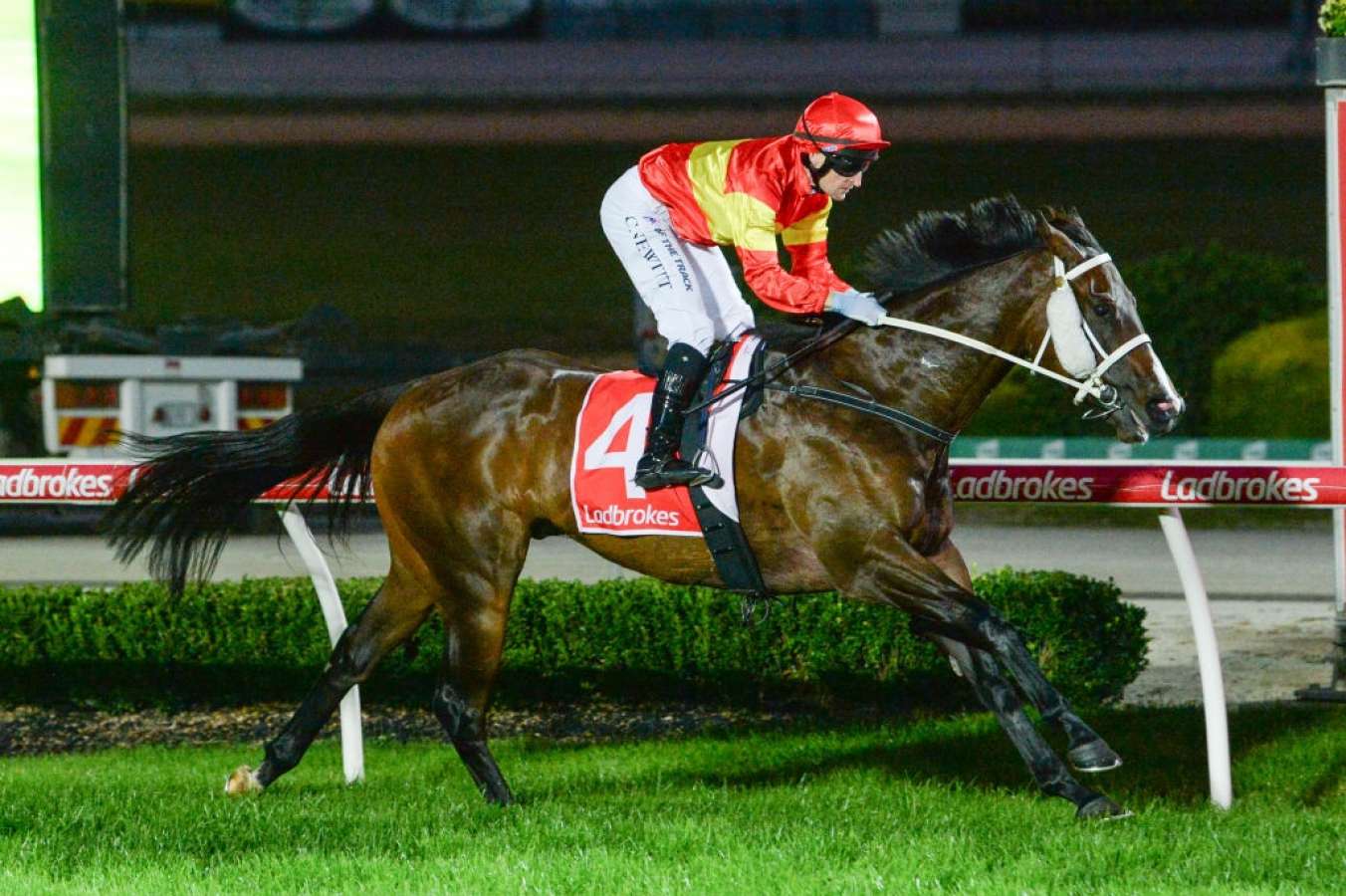 Best bets and expert tips for Cranbourne races Friday