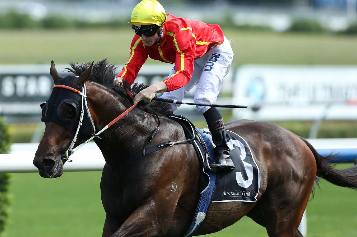 Ninth Legion perseveres for Peter Robl