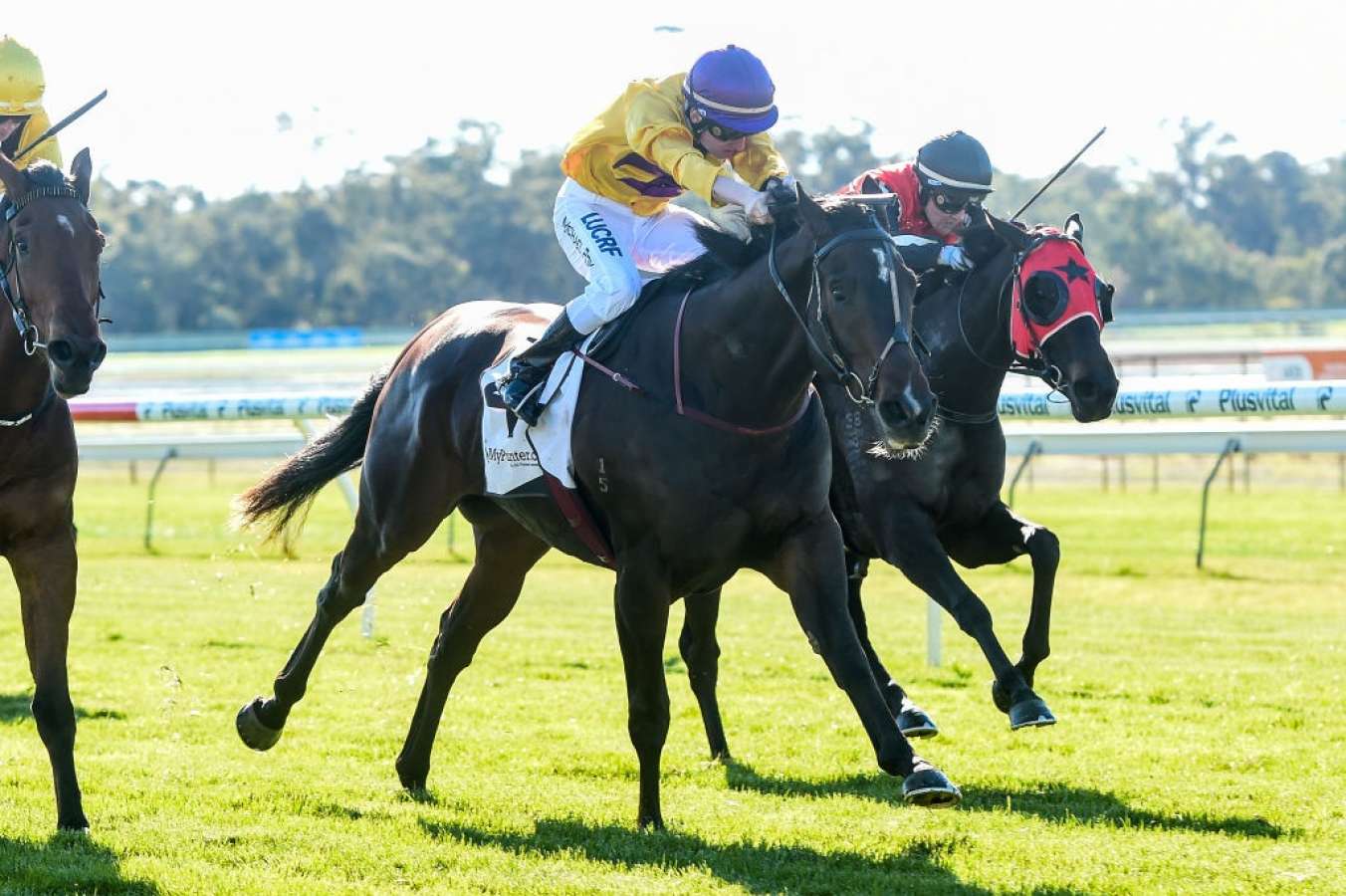 Purcell's condition continues to improve