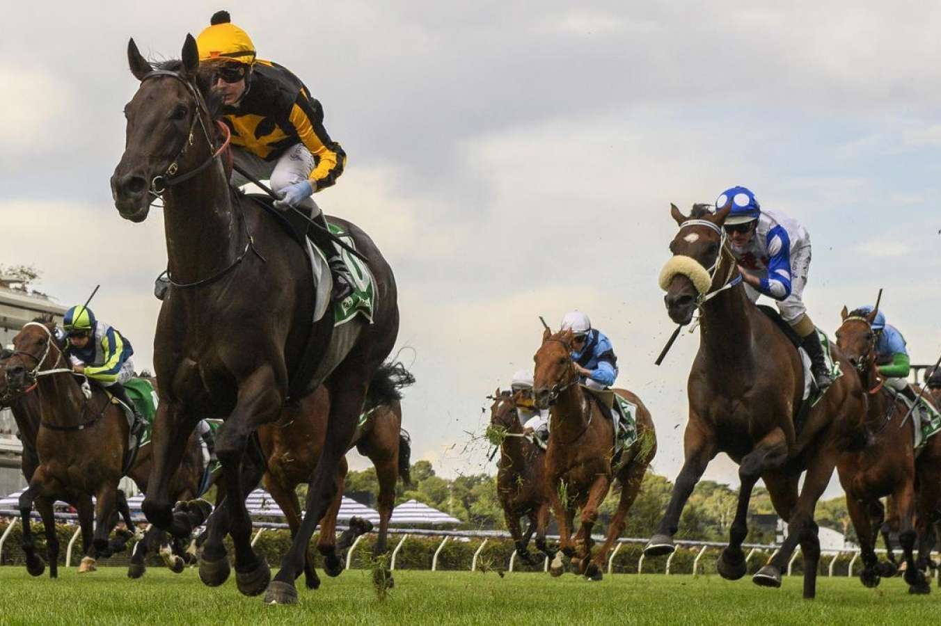 Nonconformist, Lunar Flare primed for Group 1 Australian Cup at Flemington