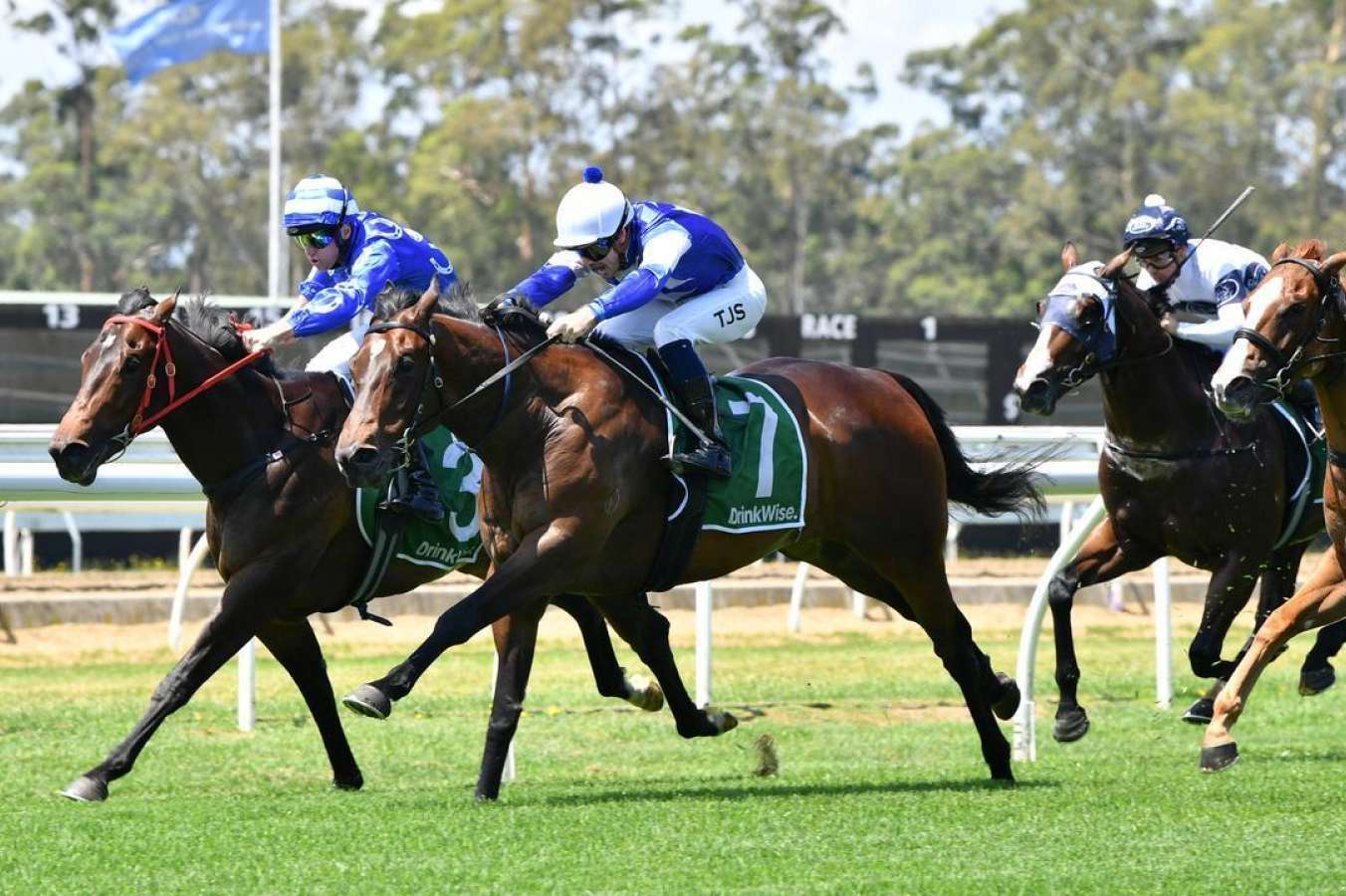 Horse throws race away at Warwick Farm