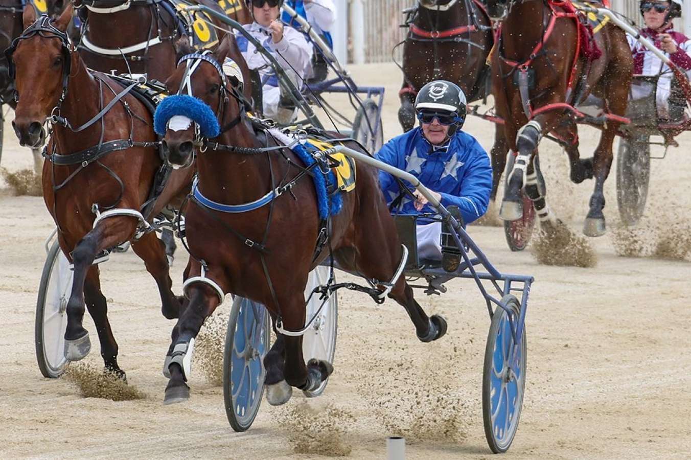 NZ trainer Mark Purdon targets Hunter Cup with Don't Stop Dreaming