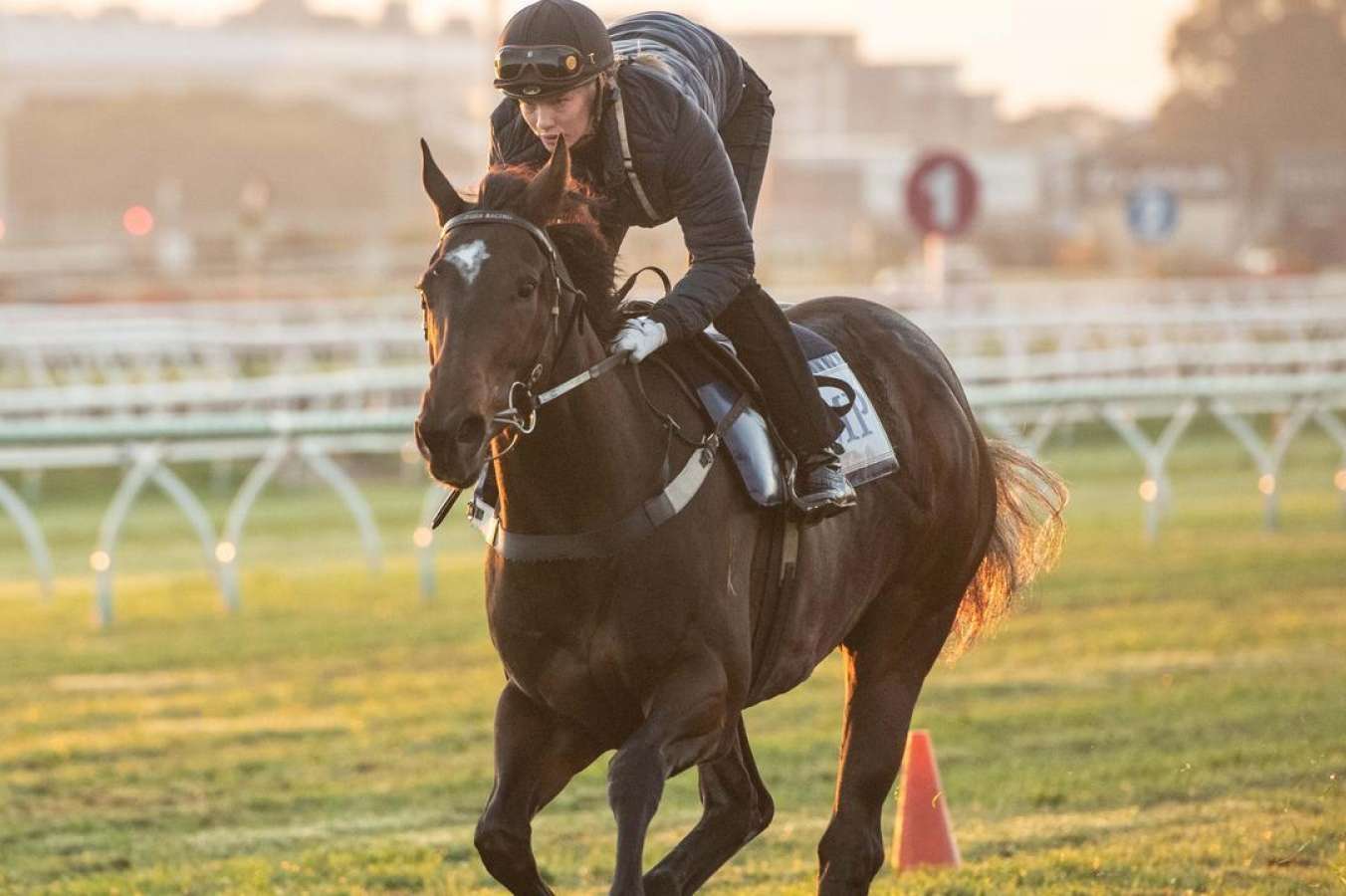 Mick Price loses the gear to improve Odeum's barrier manners for Dane ...