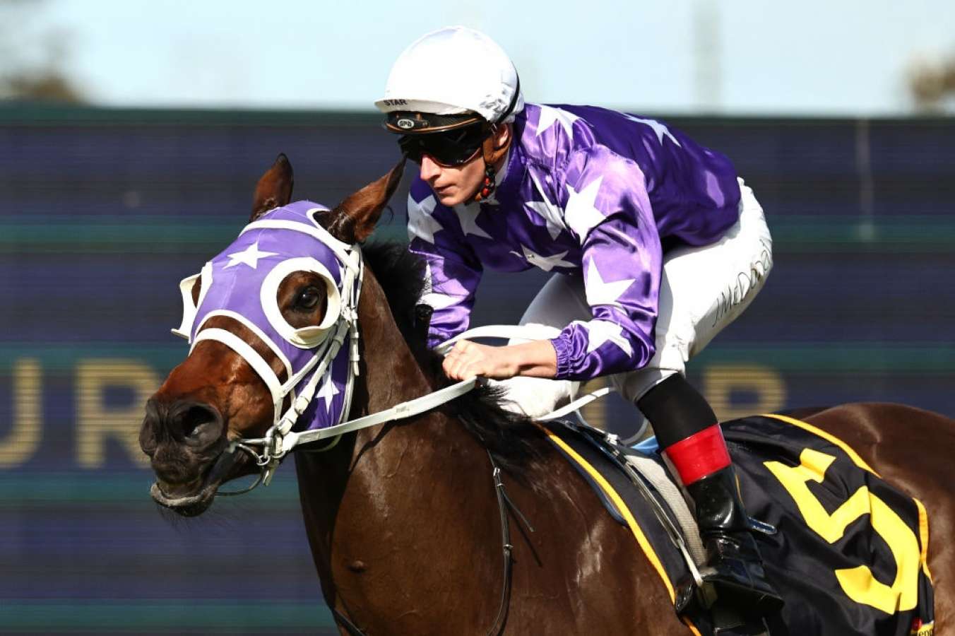 Market movers: Early money for Waller runners in Sydney features