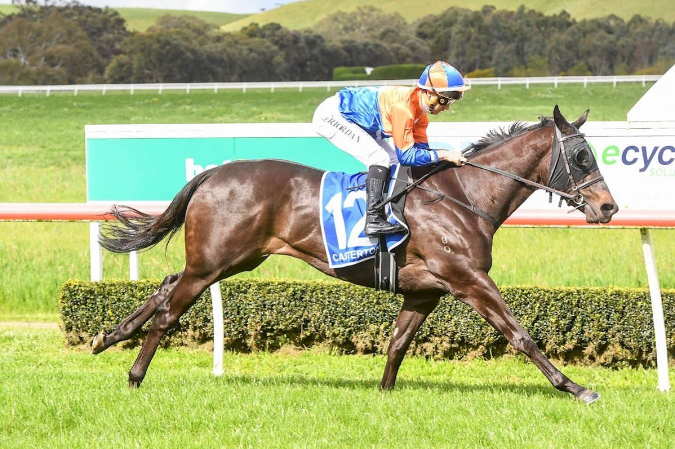 Lays of the day with Betfair: Friday, March 15