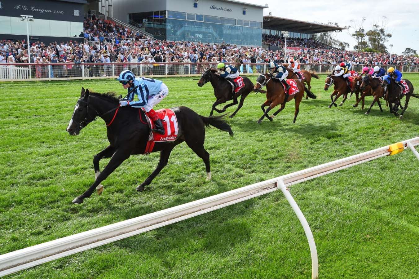 2024 Melbourne Cup: Onesmoothoperator primed for big test