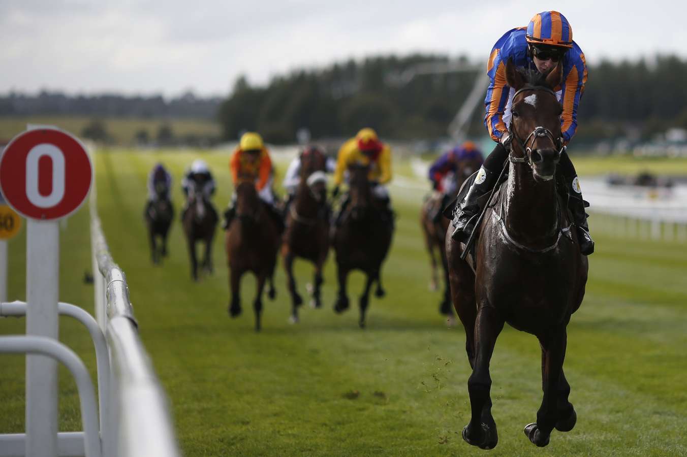 All in Order for St Leger ahead of possible Cup tilt