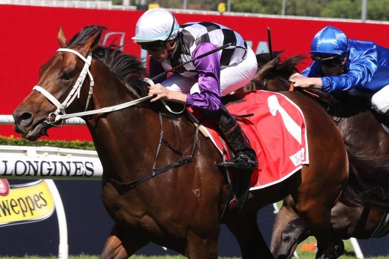 NSW racing snapshot: Osipenko ready for The Gong