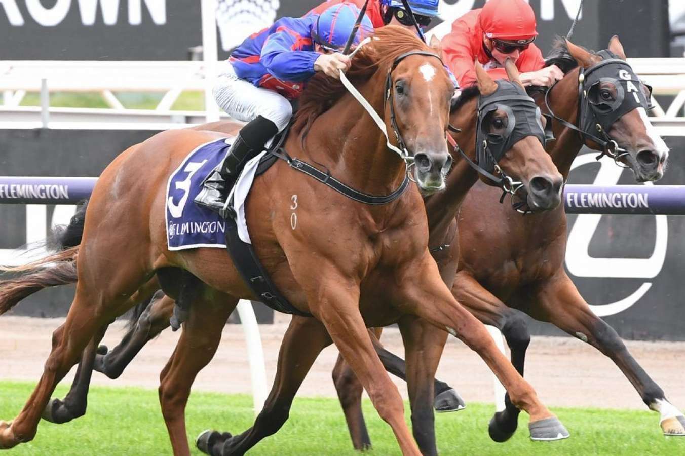 Mick Price and Michael Kent Jr with two Australian Guineas hopes