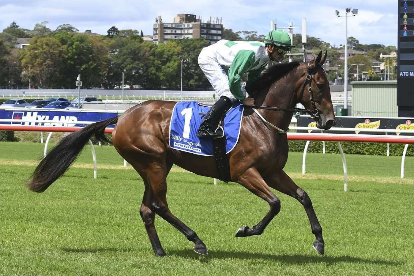 Outback Barbie for Tea Rose Stakes