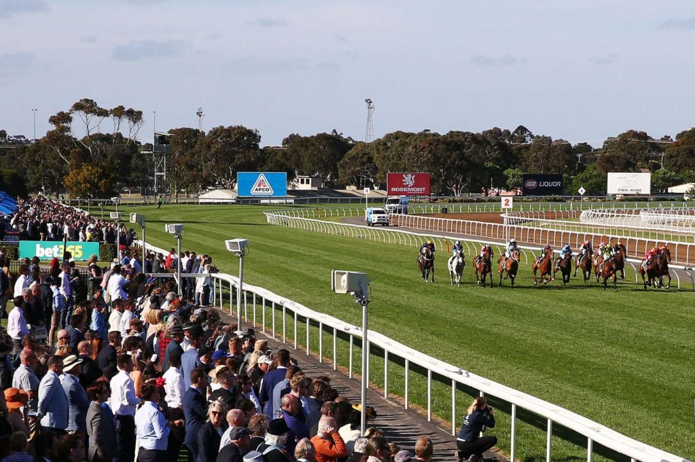 Horse racing: Owners back to races in regional Victoria