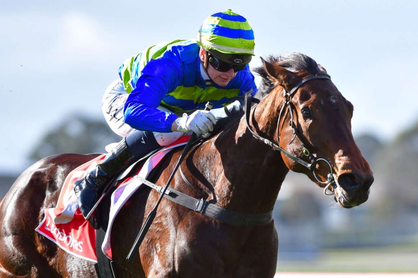 Sandown Hillside preview and tips: Wednesday, February 15