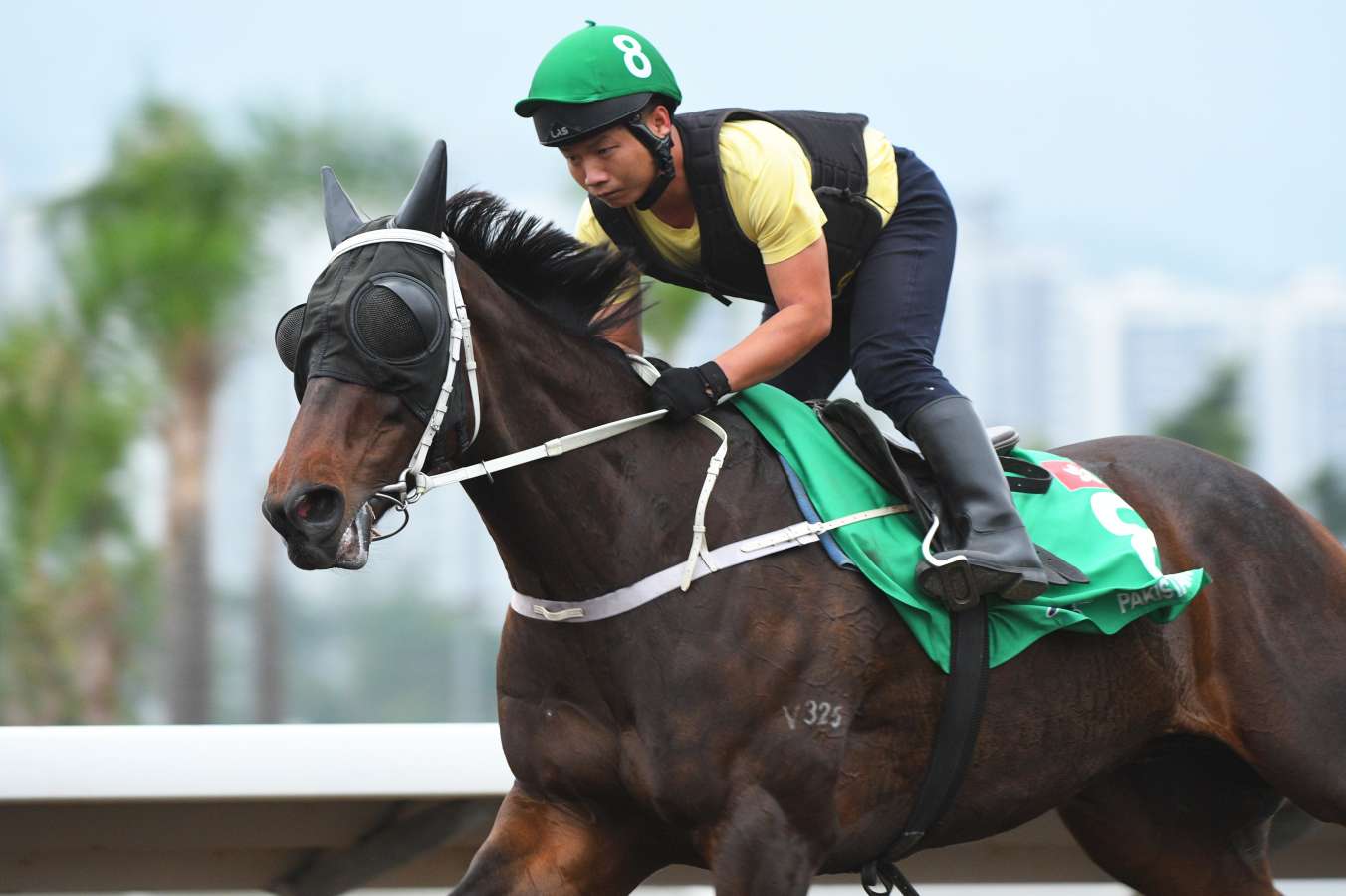 Stage is set for a Pakistan Star revival in Hong Kong Vase
