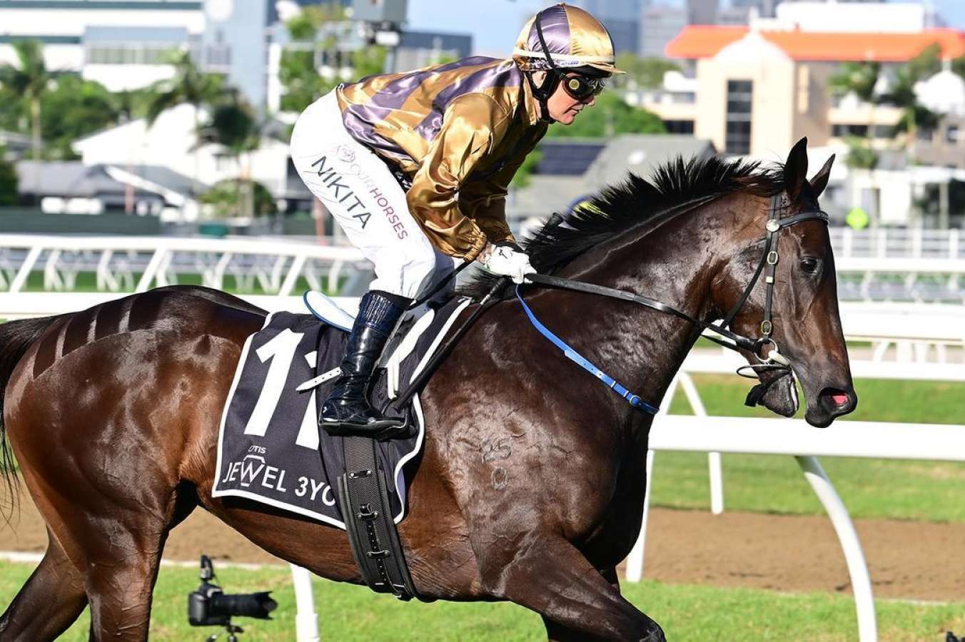 Sunshine Coast horse racing tips: Thursday, December 26, 2024