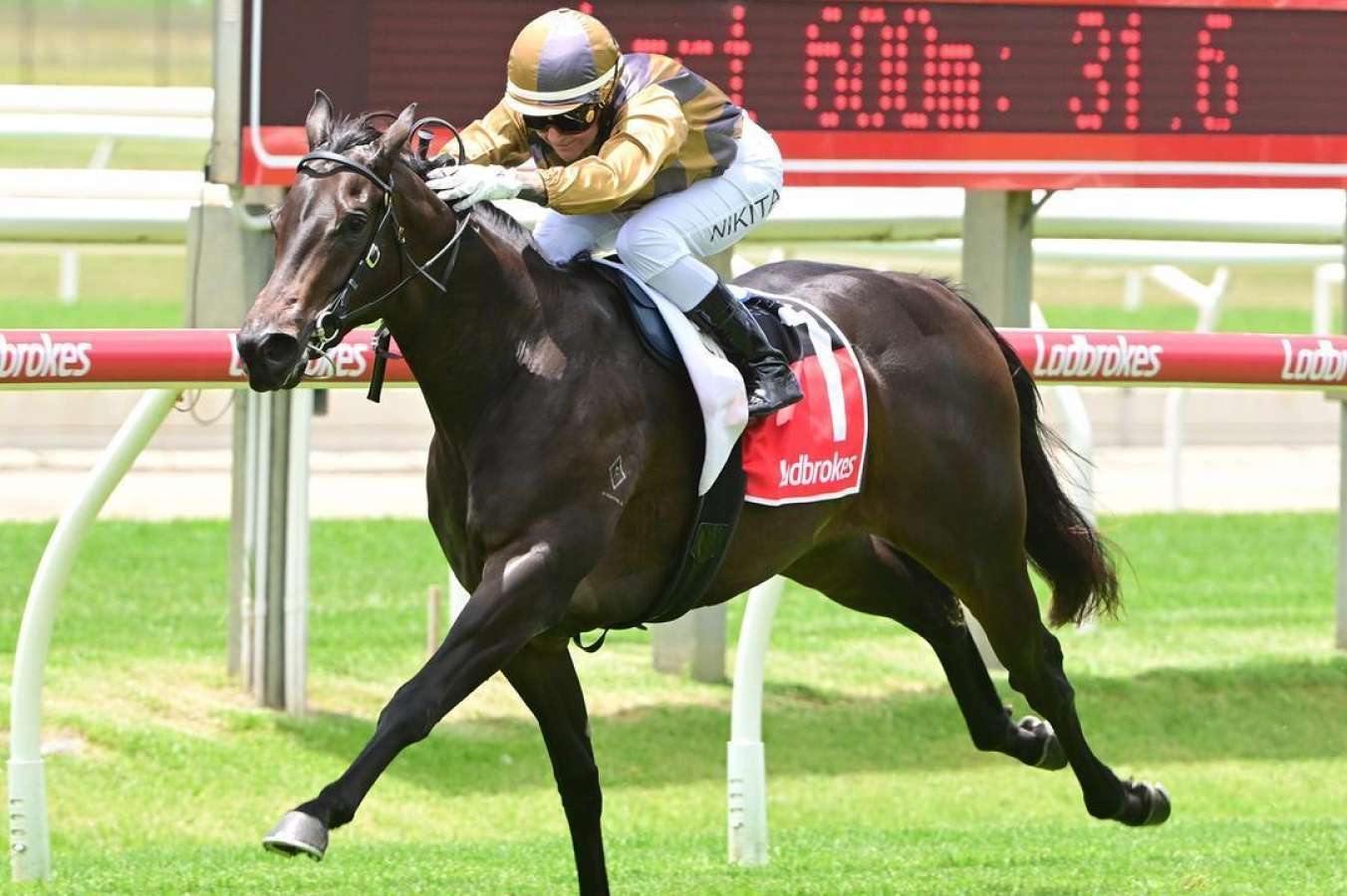 Blue Diamond filly Party For Two to have first start for new trainers