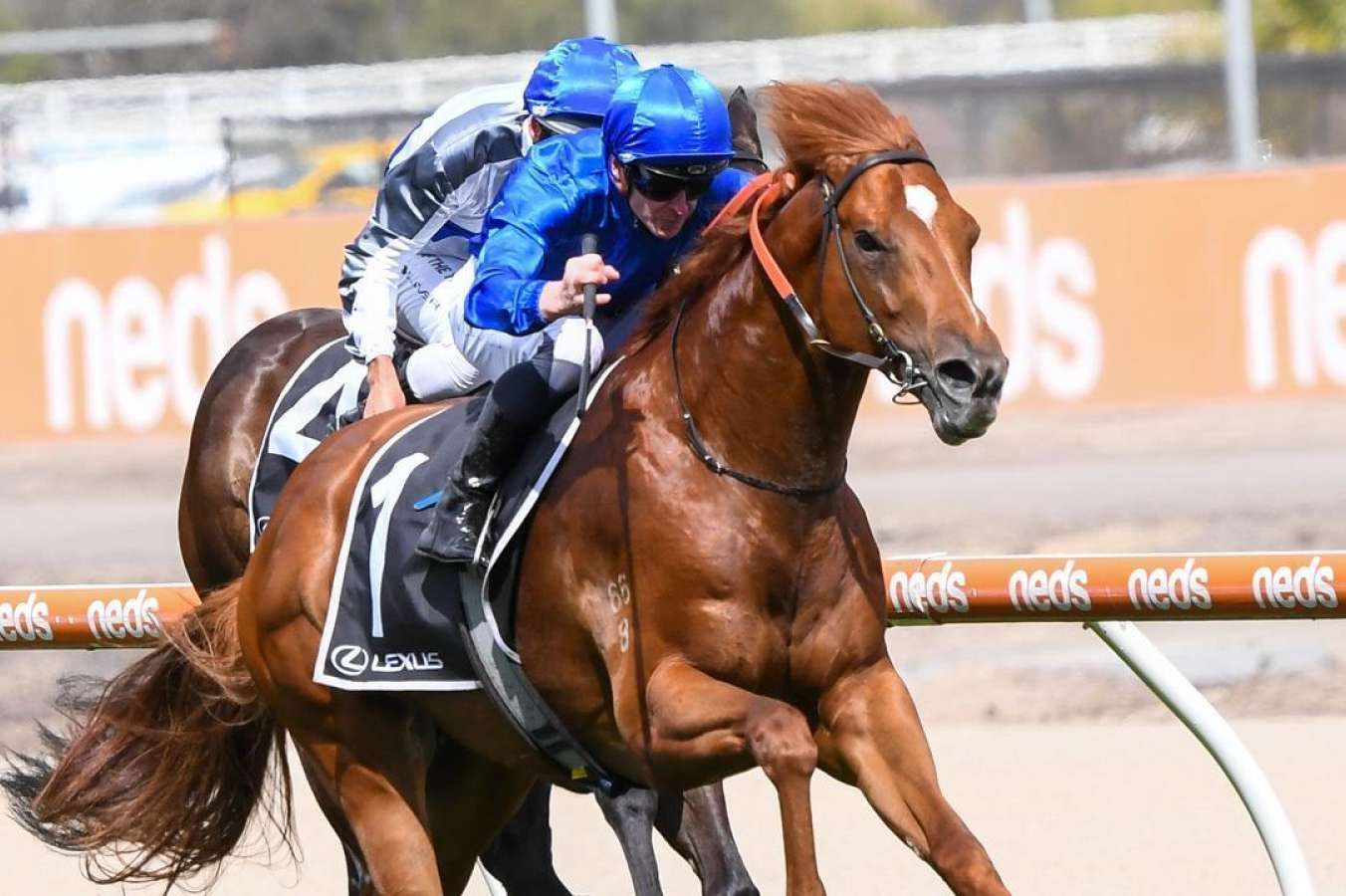 Paulele could have final start in Kingsford-Smith Cup at Eagle Farm