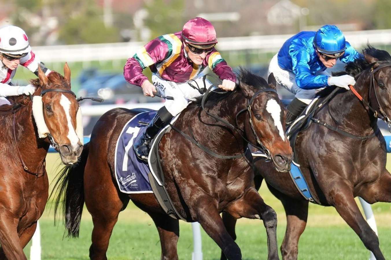 Memsie Stakes 2024 Runner-by-runner Preview