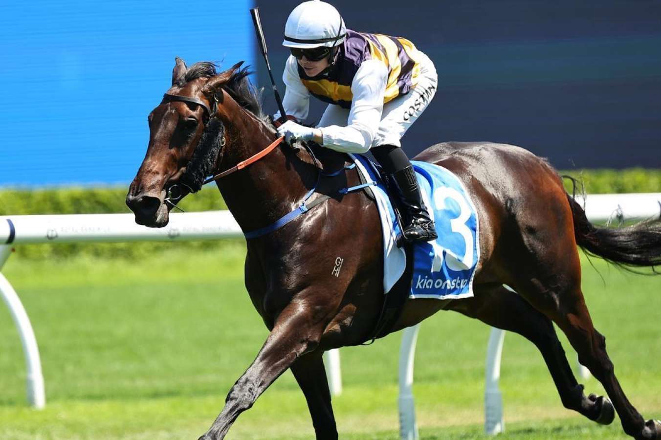 Perfumist delivers the sweet smell of success for Bjorn Baker