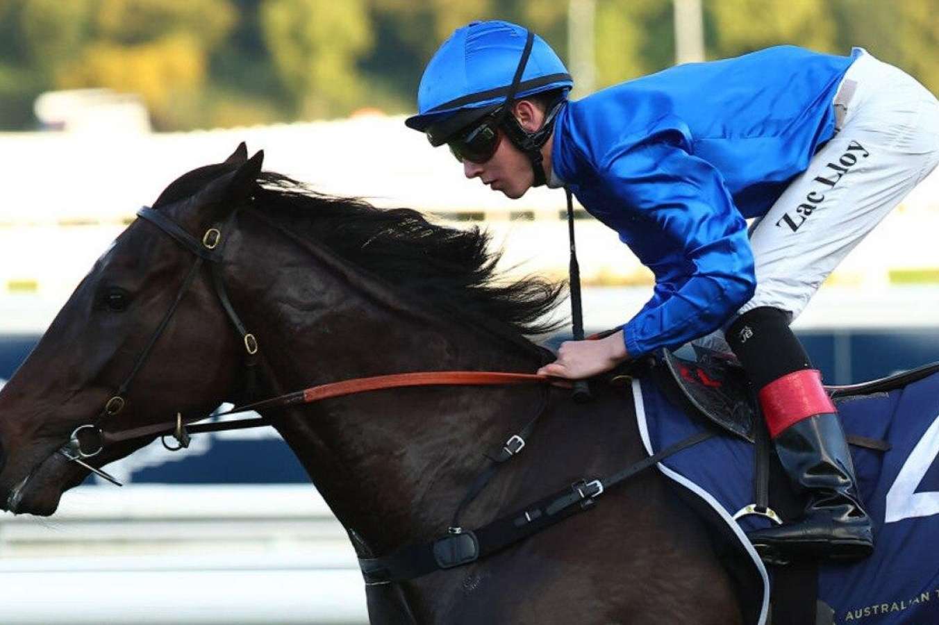 Epsom Handicap field and barrier draw