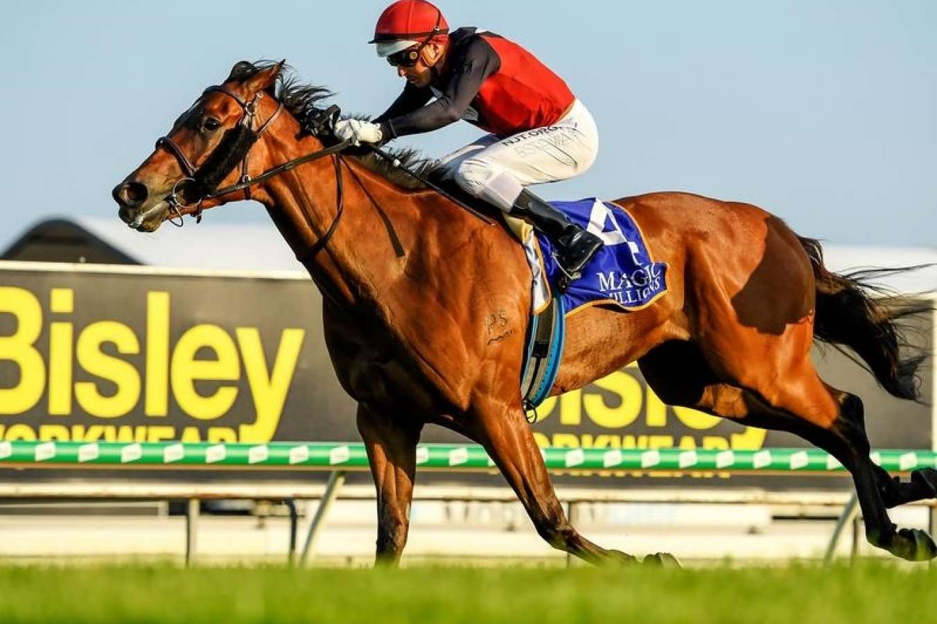 Phobetor proves Costa, Stewart good judges