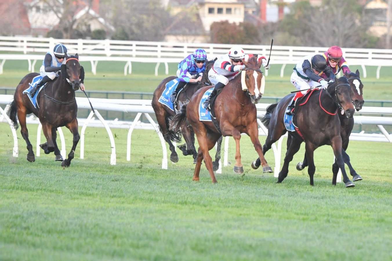 Punters post-race: G1 Memsie Stakes day in review