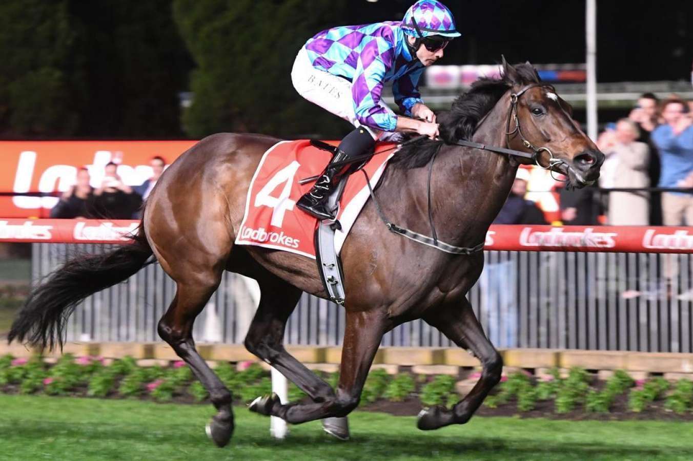 Everest Day fields: Pride Of Jenni draws out in King Charles III Stakes