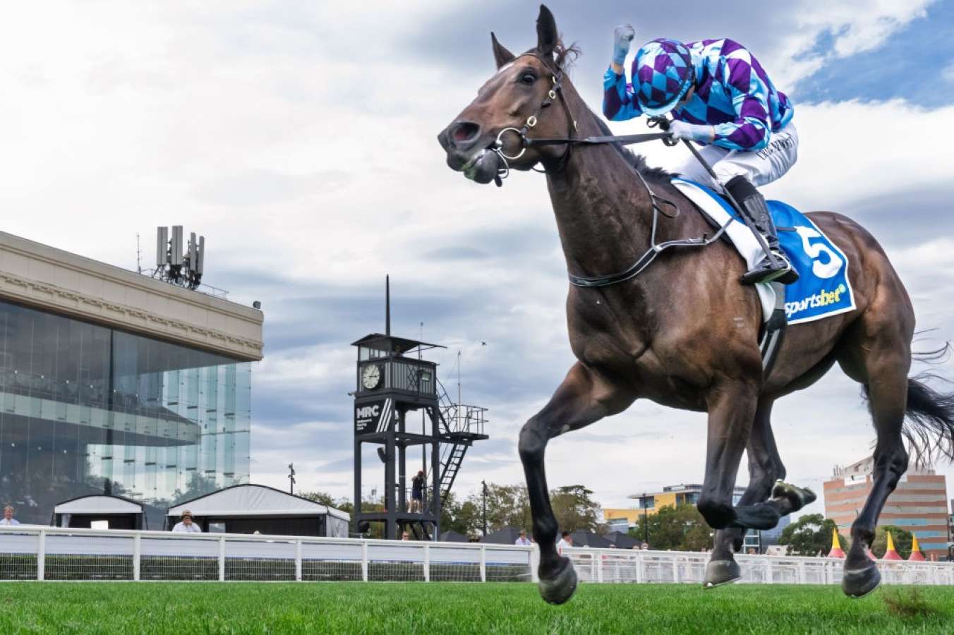 Pride Of Jenni set for Australian Cup before Via Sistina showdown