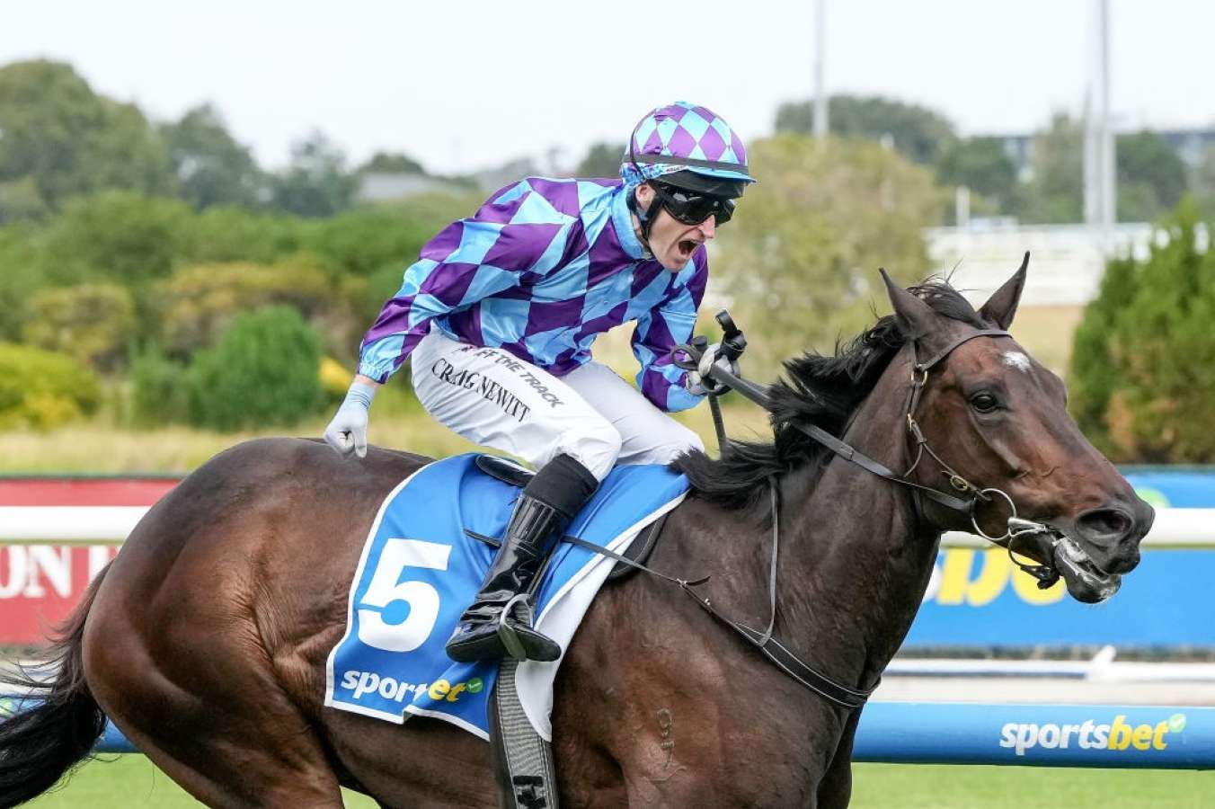 'Pride Of Jenni will get rolled': Five predictions for Saturday's racing