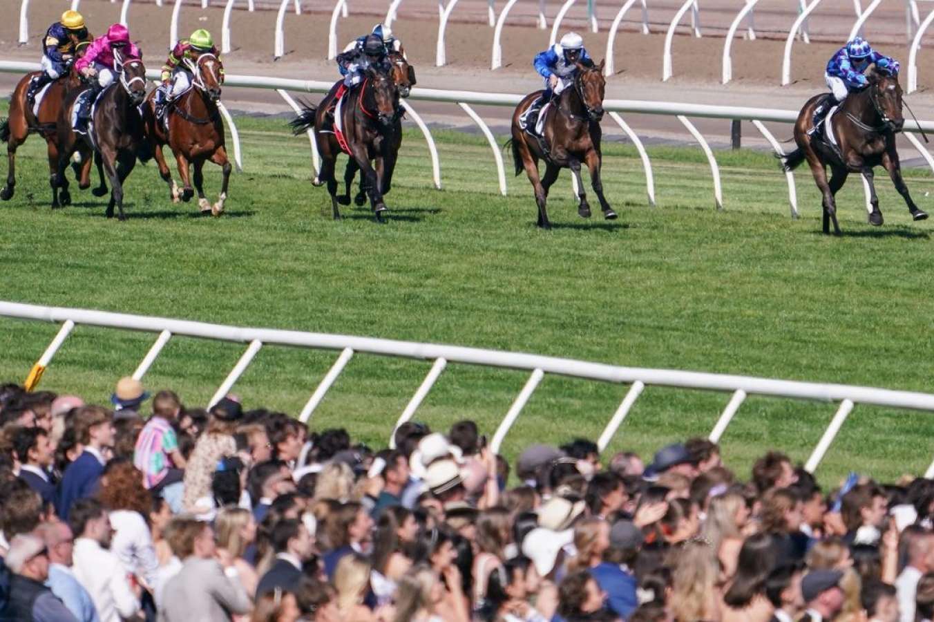 Racing Victoria posts small profit as revenue and wagering fall