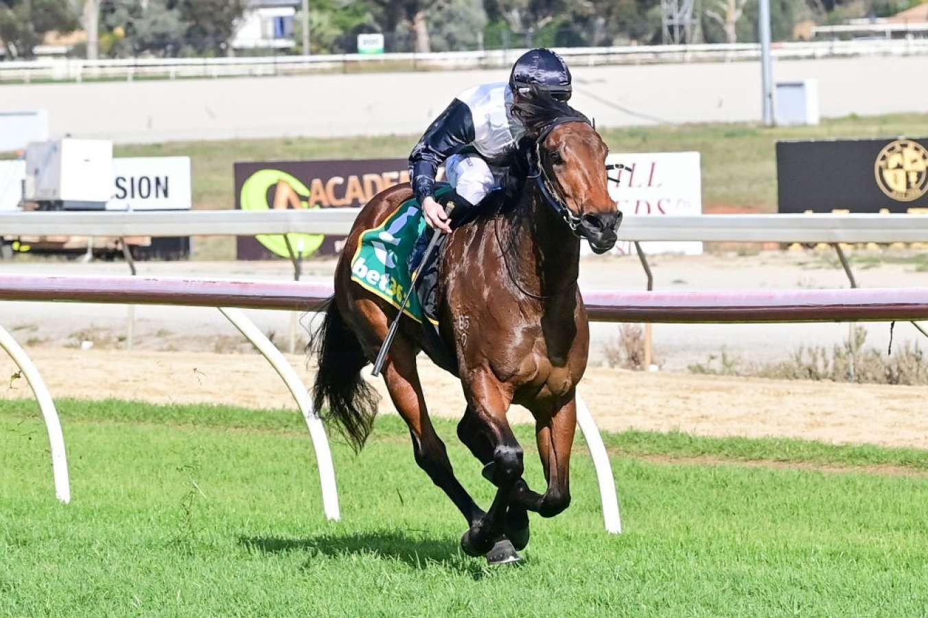 Early shopper plonks $25k each-way on Valley runner