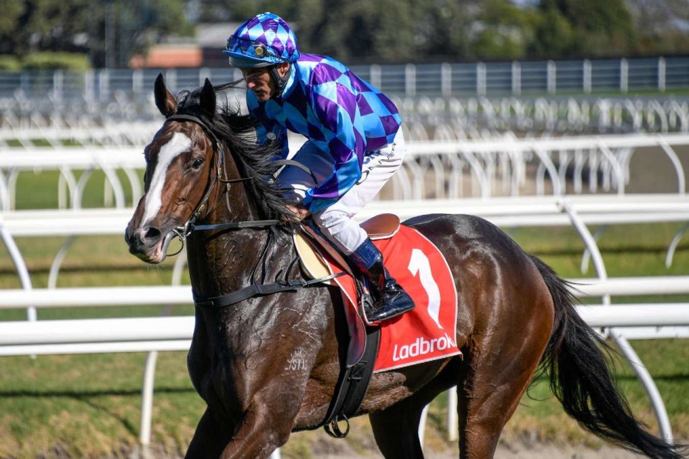 G1 Queensland Oaks: Final Field