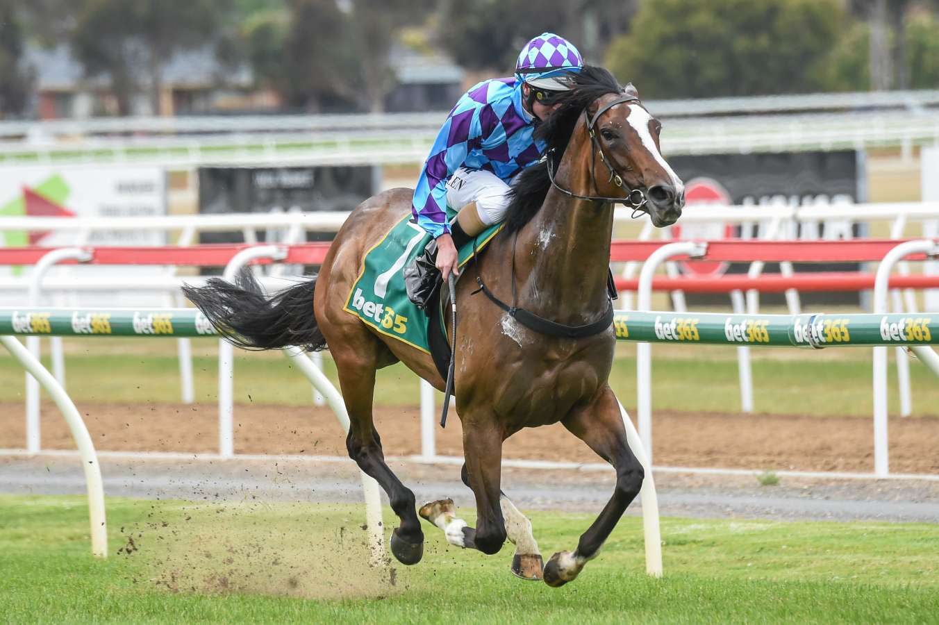 Princess Jenni faces stakes test in Kewney