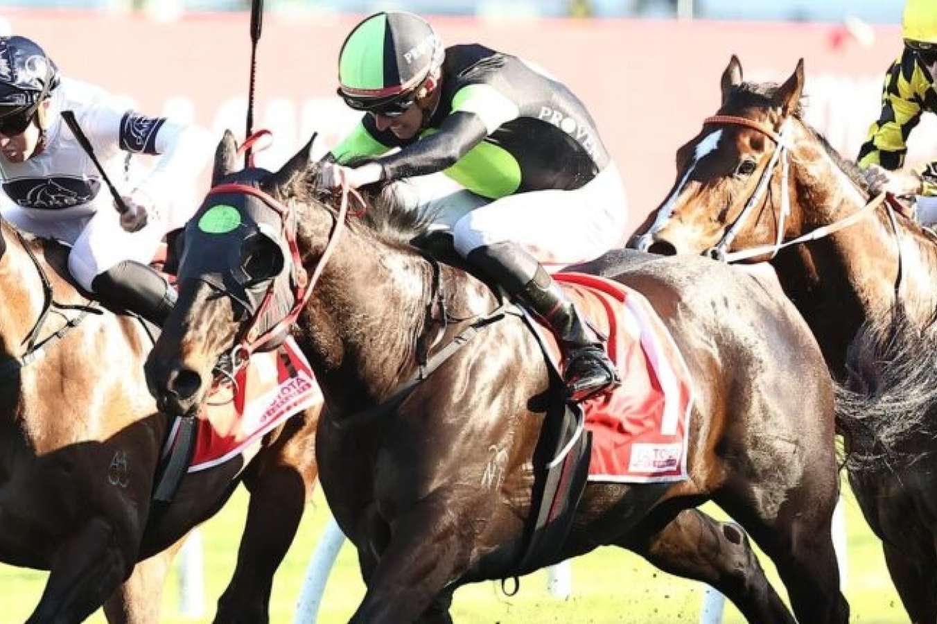 Newcastle tips and preview - The Hunter day [November 16]