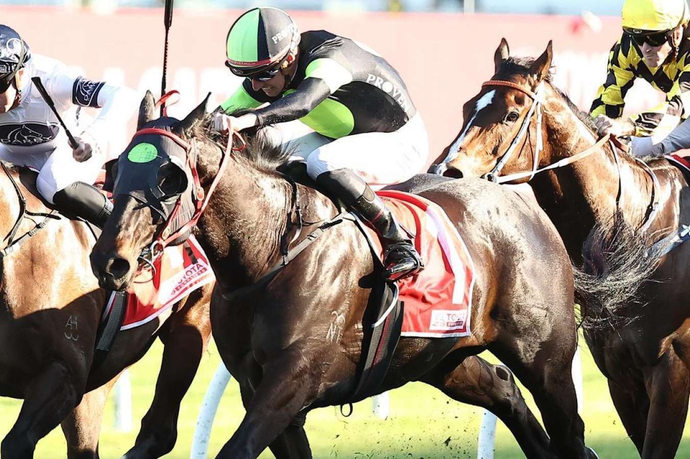 The Everest runner-by-runner preview and tips: $6 pick