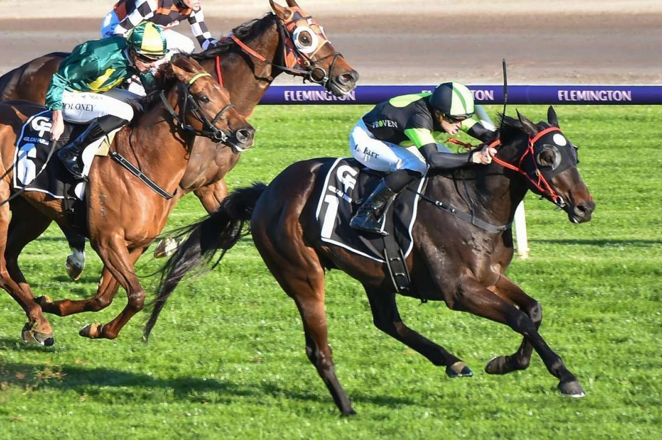Child has lucky escape with gate before Gilgai Stakes