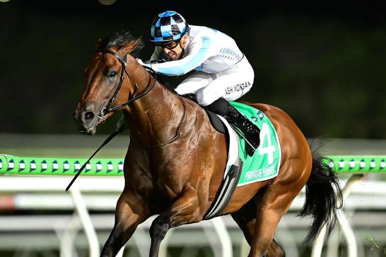 Boom sprinter Private Harry on track for Group 1 tilt after impressive ...