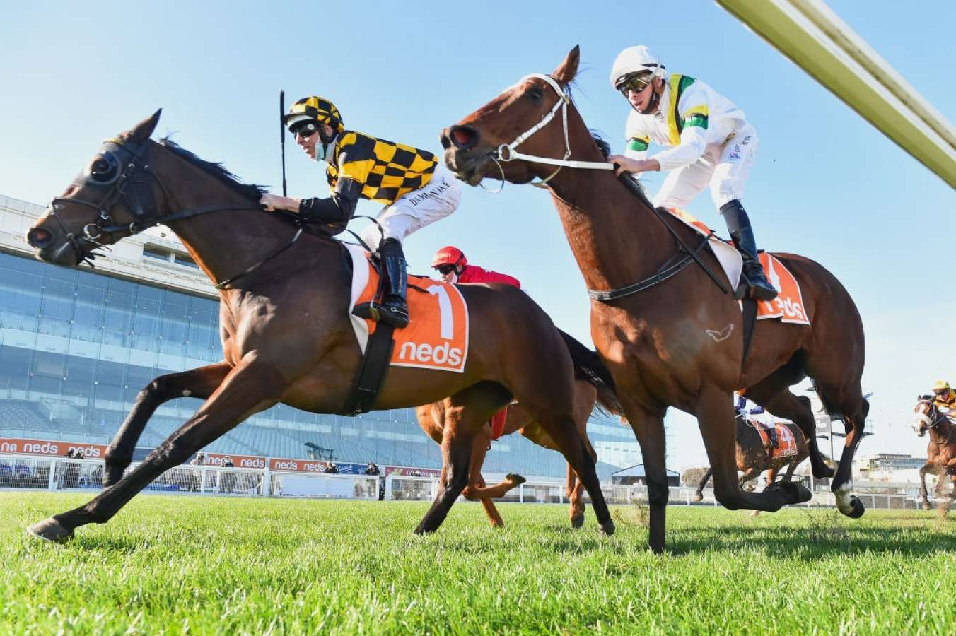 Rupert Clarke Stakes: Girls flying flag for Jamie Richards