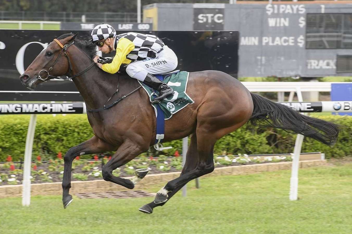 Anthony Cummings aims high with Sky Boy