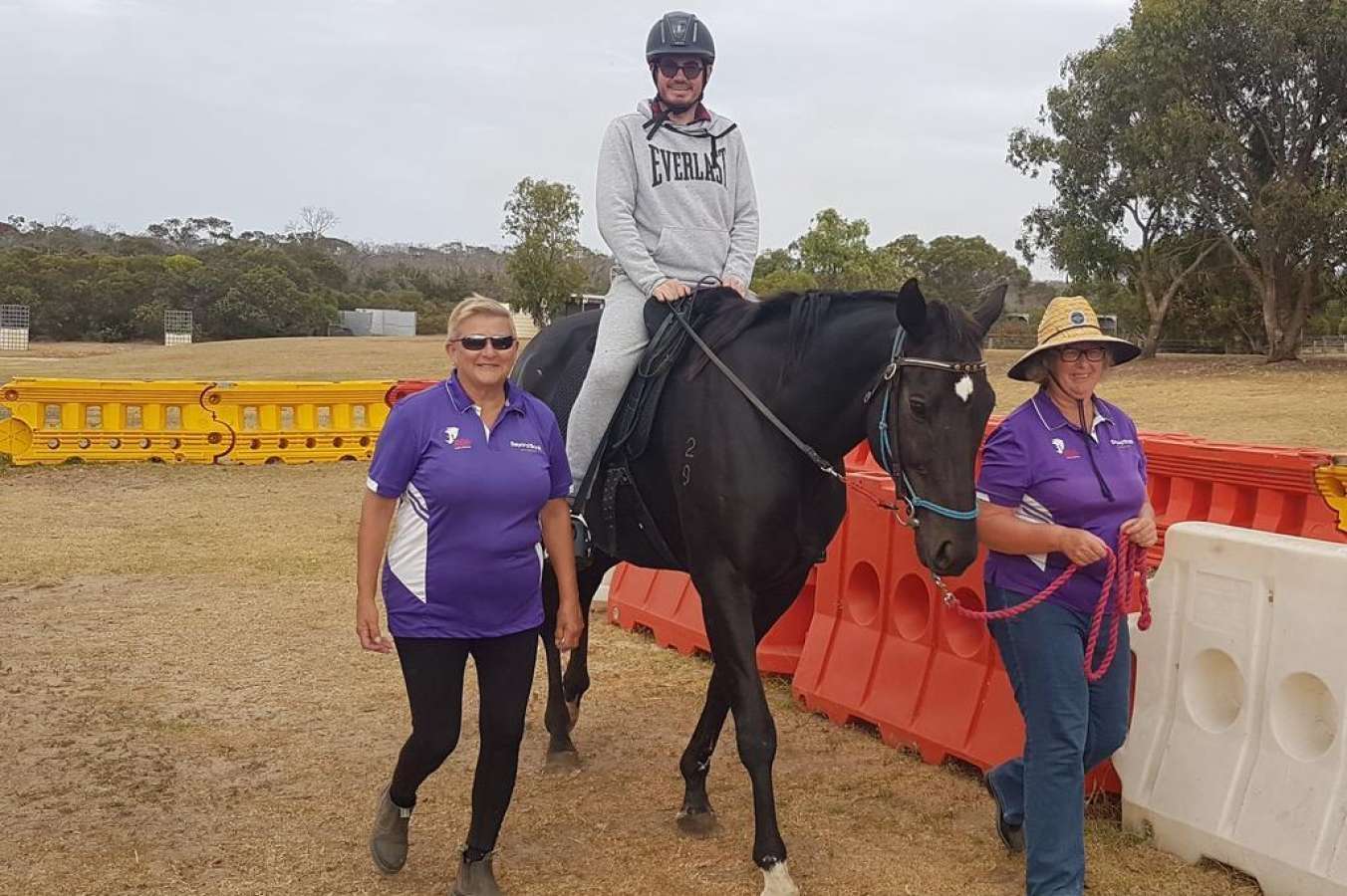 Ex-racehorse Propshaft excelling with Riding for the Disabled in Port ...