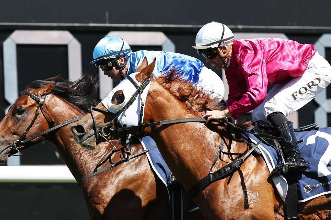 Spring Champion Stakes day: What the jockeys said