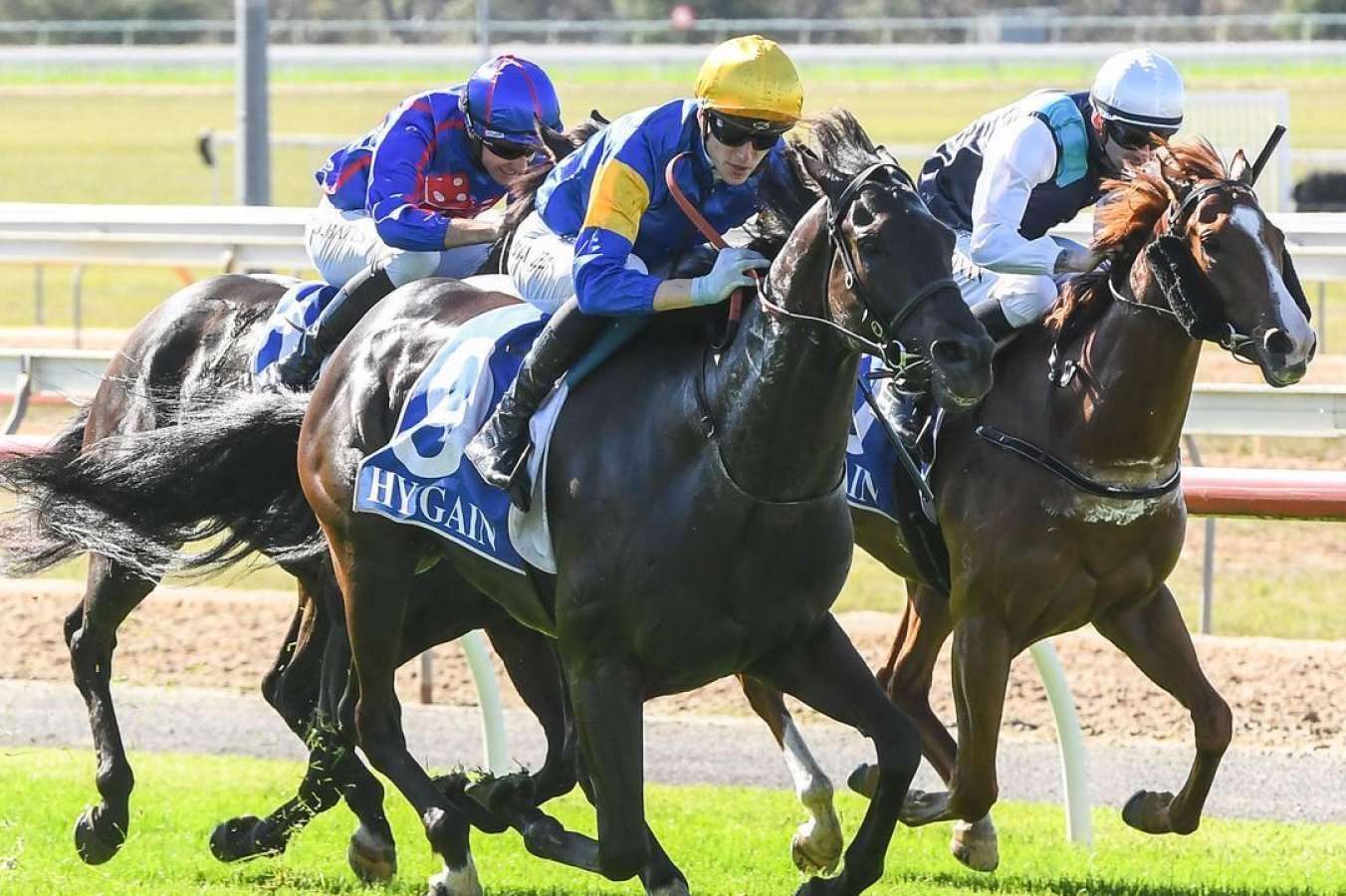 Echuca preview and best bets: Thursday, October 19