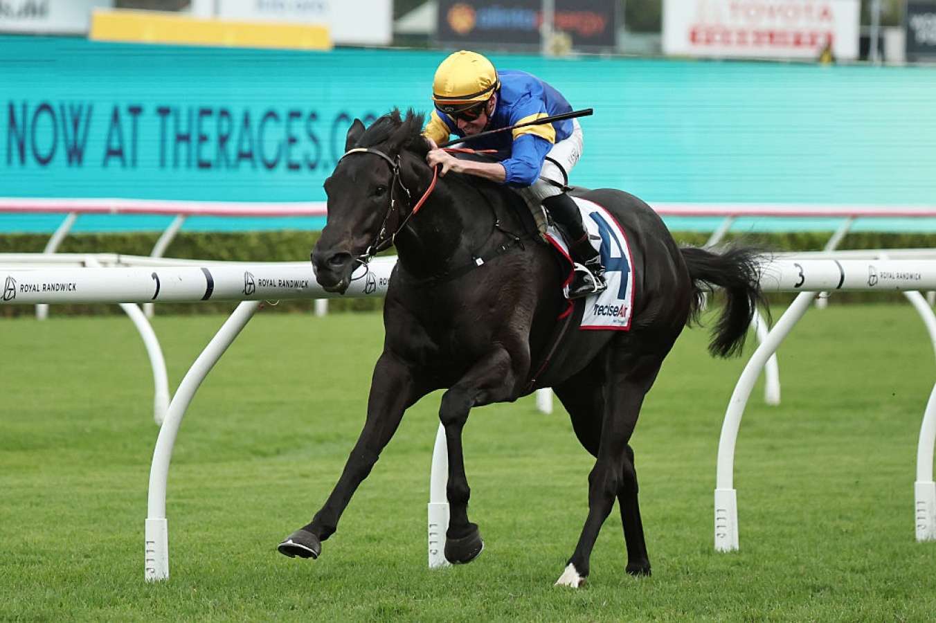 Nash Rawiller delivers knockout blow aboard Punch Lane at Randwick